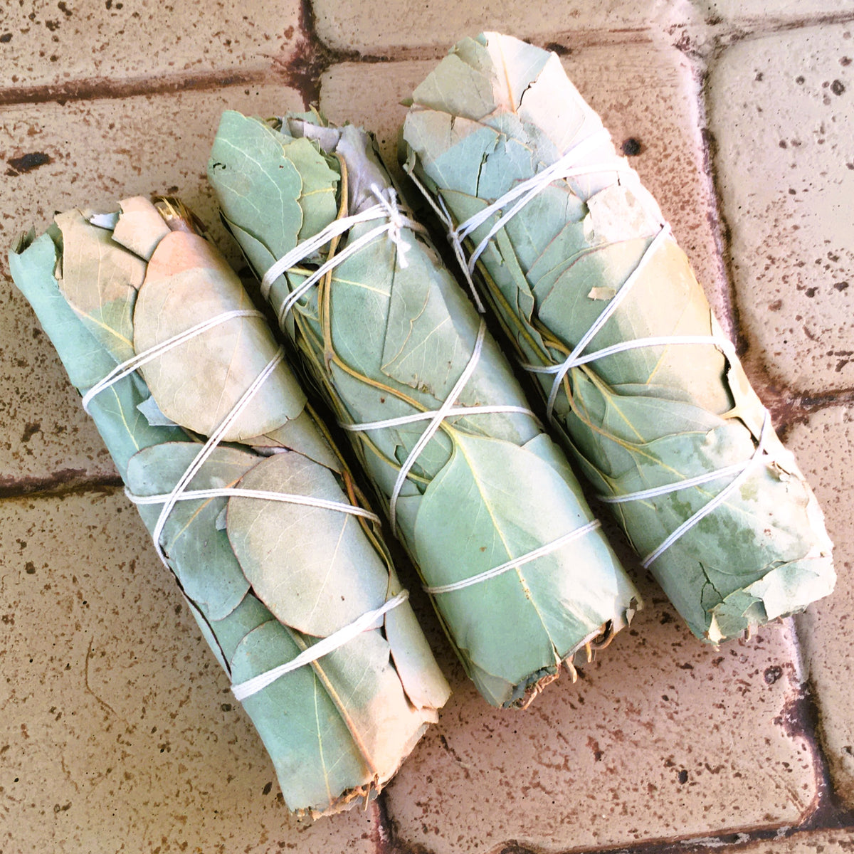 Eucalyptus Sage Smudge Stick Bundle Five Sisters Crystals