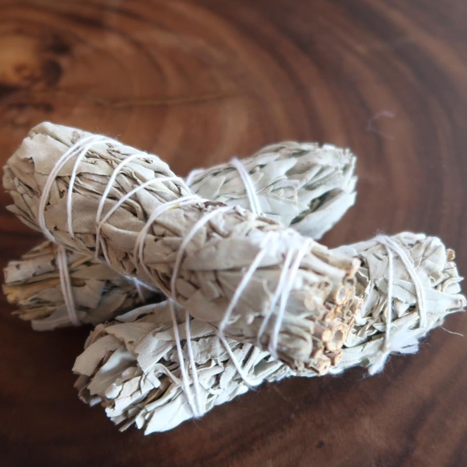 Small White Sage Smudge Stick Bundle Five Sisters Crystals
